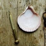 How to drill a hole in a seashell without breaking it.