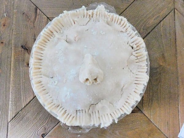 People Pot Pie - Crafty Little Gnome human face meat pie recipe tutorial