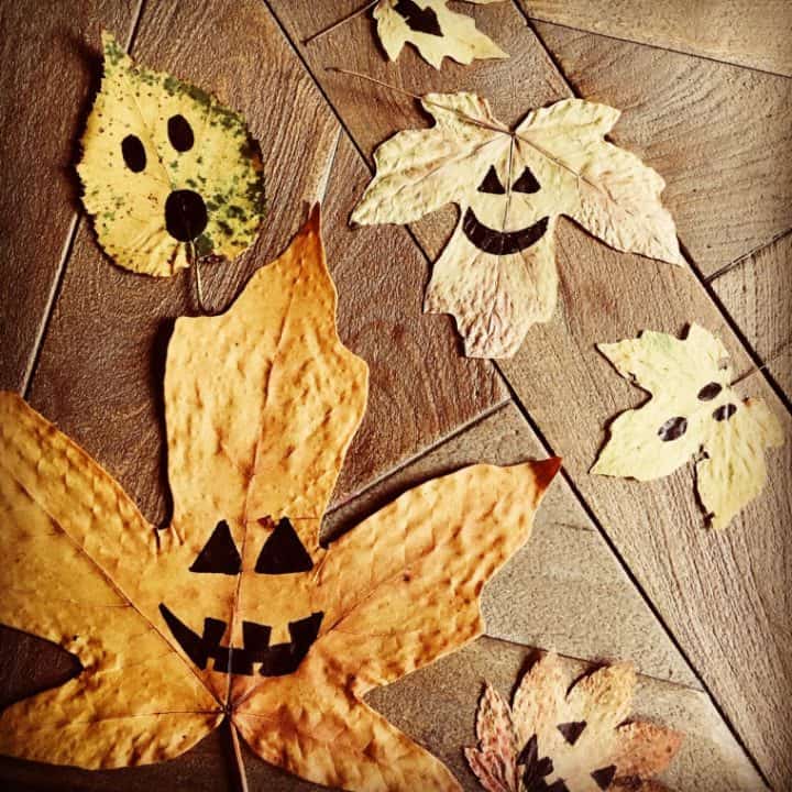 6 Dried Leaf Art Crafts for Kids this Fall - Crafty Little Gnome
