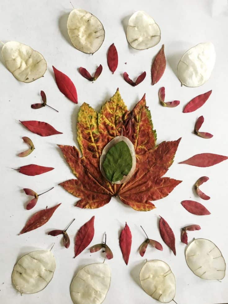 6 Dried Leaf Art Crafts for Kids this Fall - Crafty Little Gnome