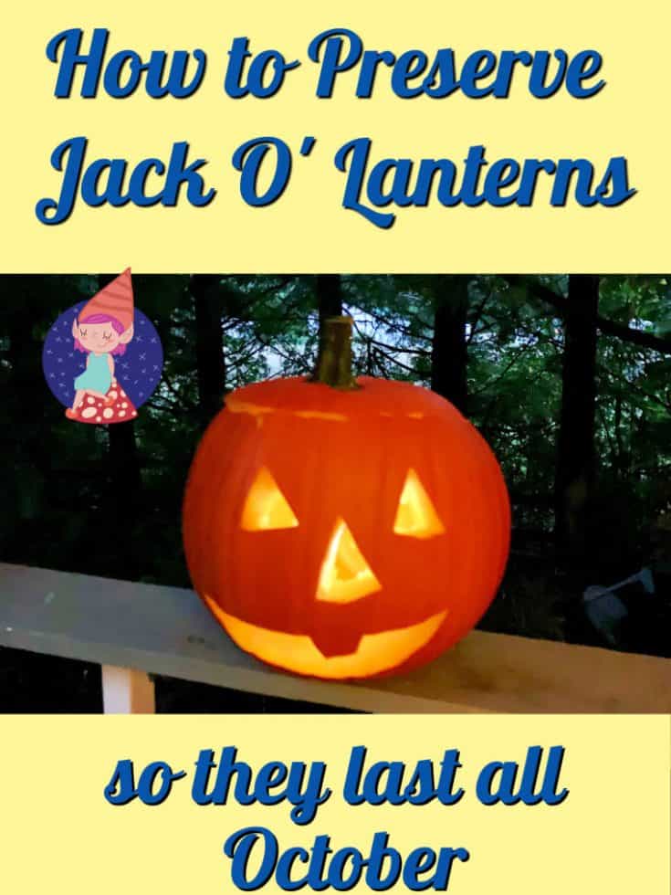 How to Preserve Pumpkins - Crafty Little Gnome