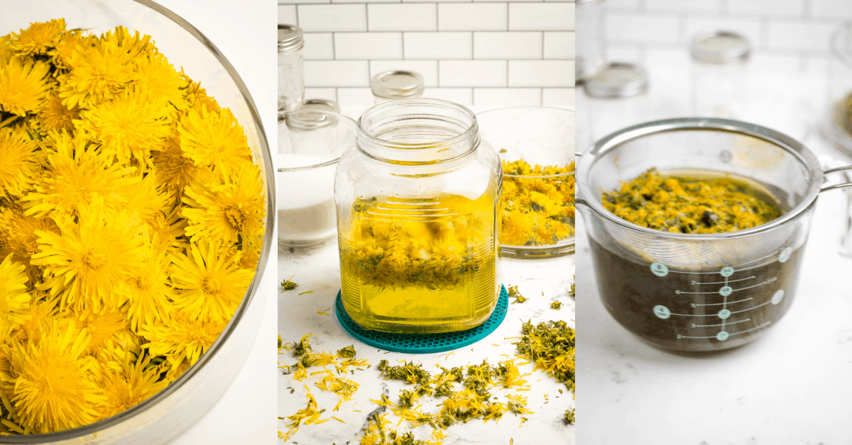 How to Make Dandelion Jam - Crafty Little Gnome