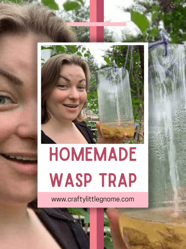 Homemade Wasp Trap - Crafty Little Gnome